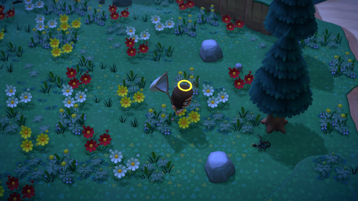 [GUIDE] Les îles aux Scorpions dans Animal Crossing New Horizons