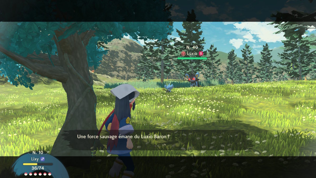 Liste des Pokémon Barons (Alpha) et où les trouver dans Pokémon Legends ...