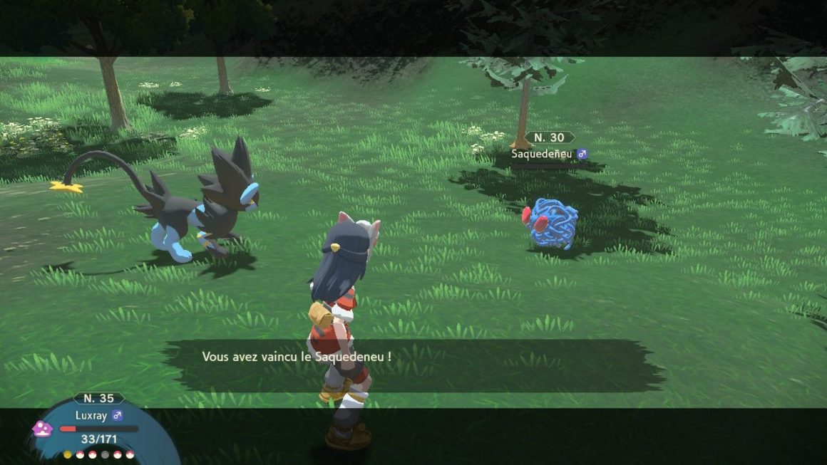Les objets tenus par les Pokémon dans Pokémon Legends: Arceus