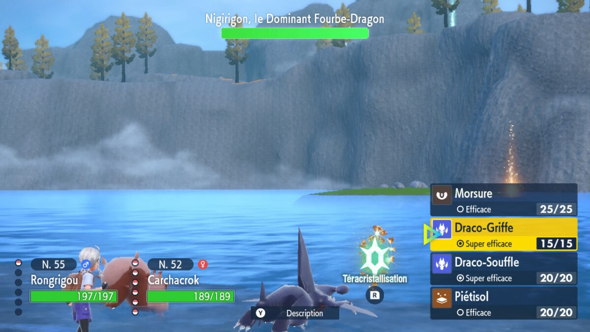 Vaincre le Dominant Fourbe-Dragon : Oyacata et Nigirigon dans Pokémon ...