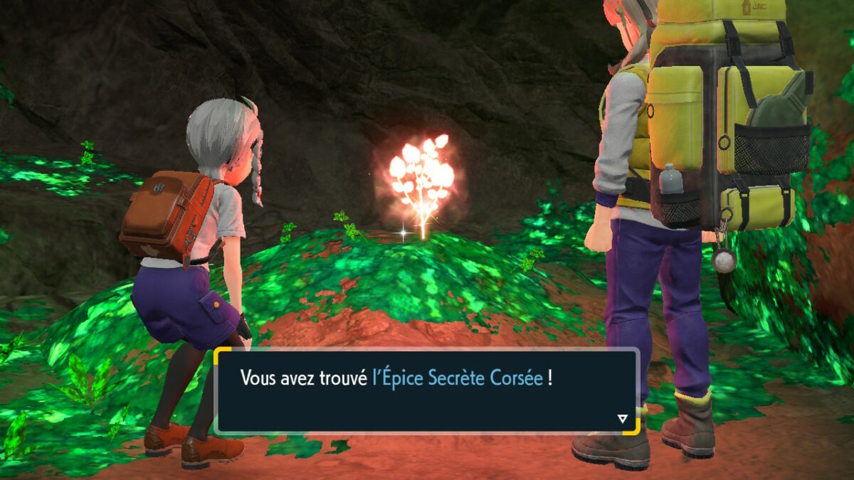 Vaincre le Dominant Fourbe-Dragon : Oyacata et Nigirigon dans Pokémon ...