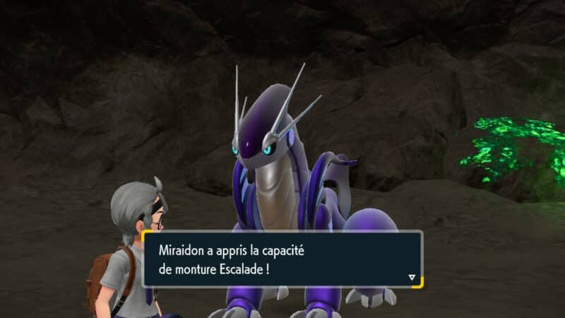 Vaincre le Dominant Fourbe-Dragon : Oyacata et Nigirigon dans Pokémon ...